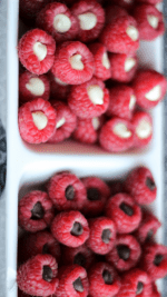 Chocolate Raspberry Fruit Popper Snack – Our Farmer House | Dream ...