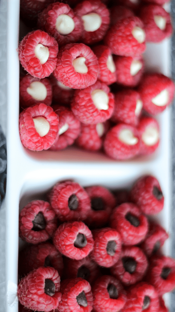 Chocolate Raspberry Fruit Popper Snack