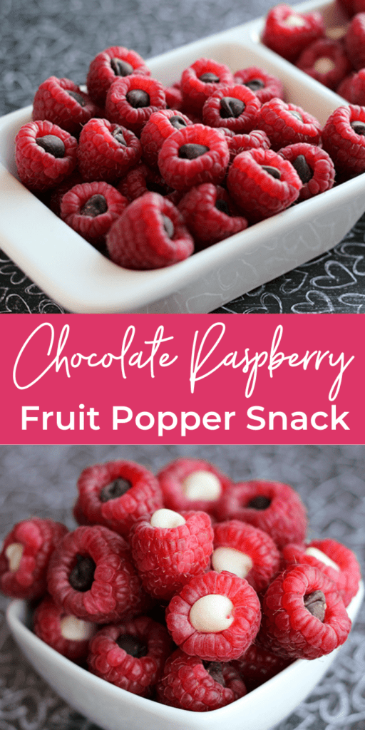Chocolate Raspberry Fruit Popper Snack