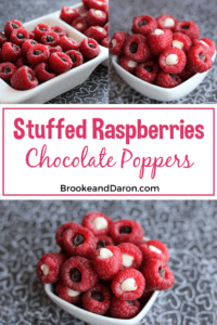 Chocolate Raspberry Fruit Popper Snack