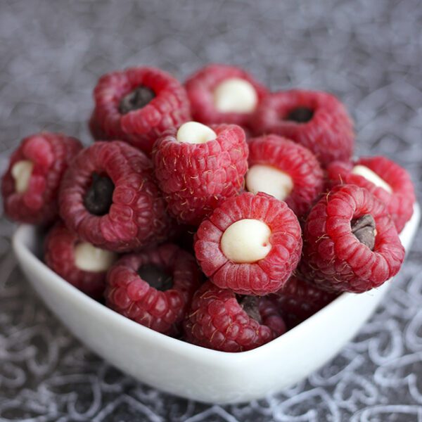 Chocolate Raspberry Fruit Popper Snack