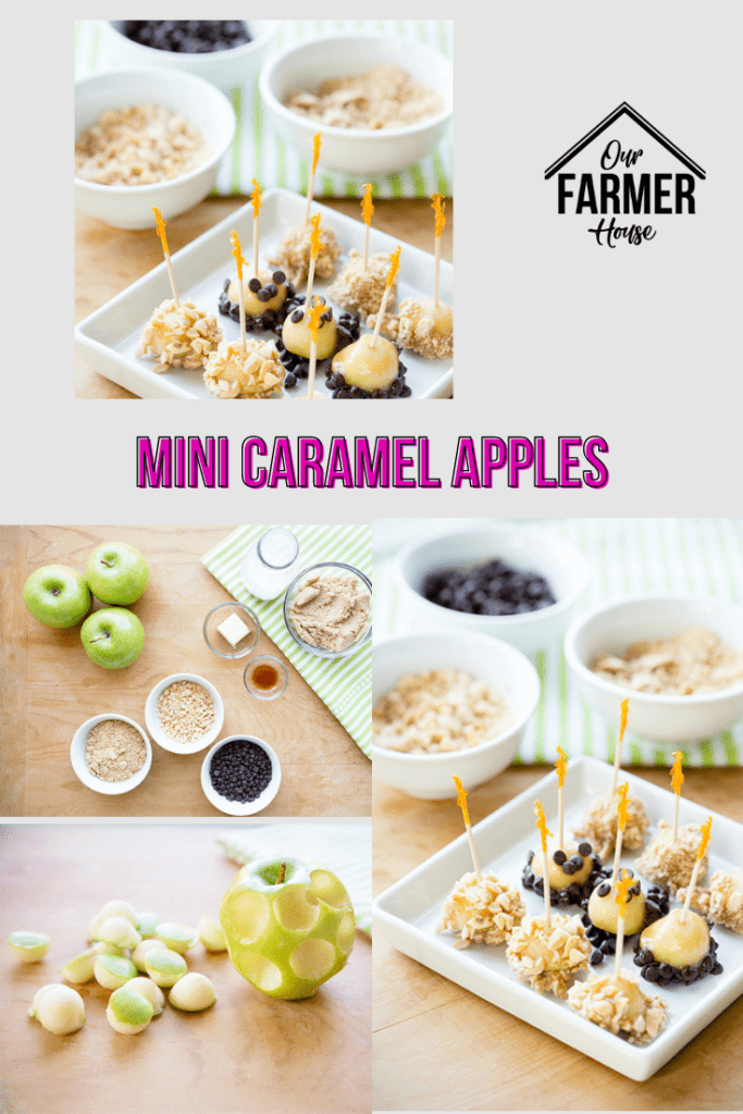 Mini Caramel Apples Recipe – Our Farmer House | Dream, Build, and Stay ...