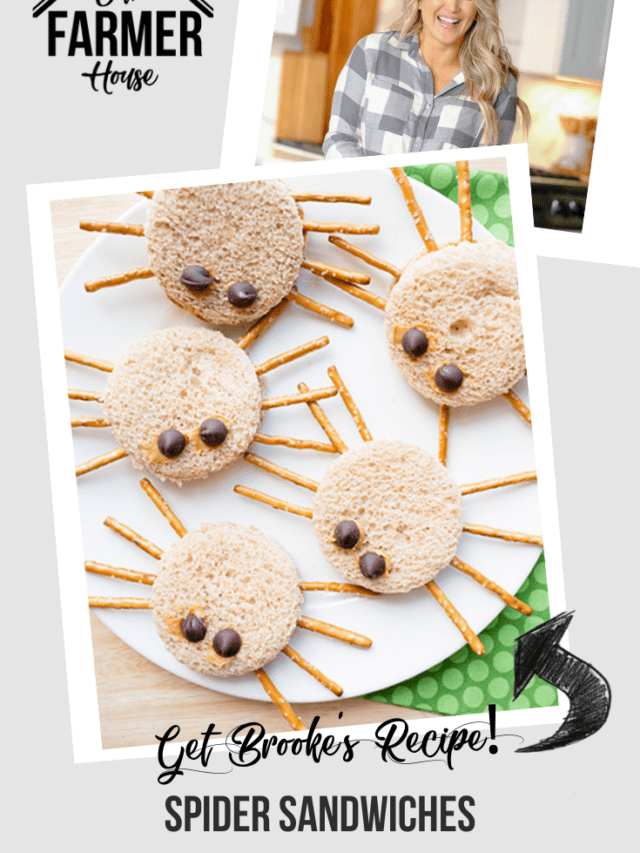 Spooky Spider Peanut Butter Sandwich Idea | Brooke and Daron